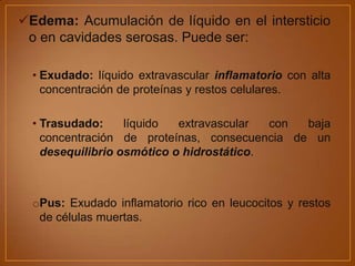 LA INFLAMACIÓN - FISIOPATOLOGÍA. Ruiz M. Claudia G | PPTX