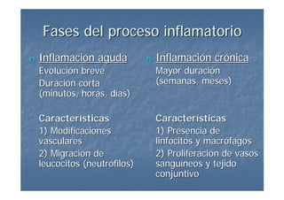 Inflamación y dolor | PDF