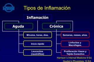 Inflamacion | PPT