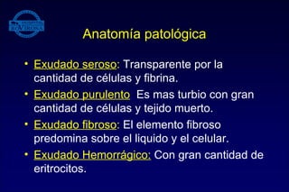 Inflamacion | PPT