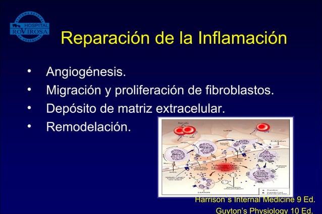 Inflamacion | PPT