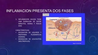 Inflamacion | PPTX