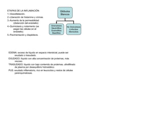 FISIOPATOLOGIA DE LA INFLAMACION RESUMEN DE APUNTES.ppt