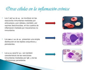 Inflamacion aguda y cronica | PPT