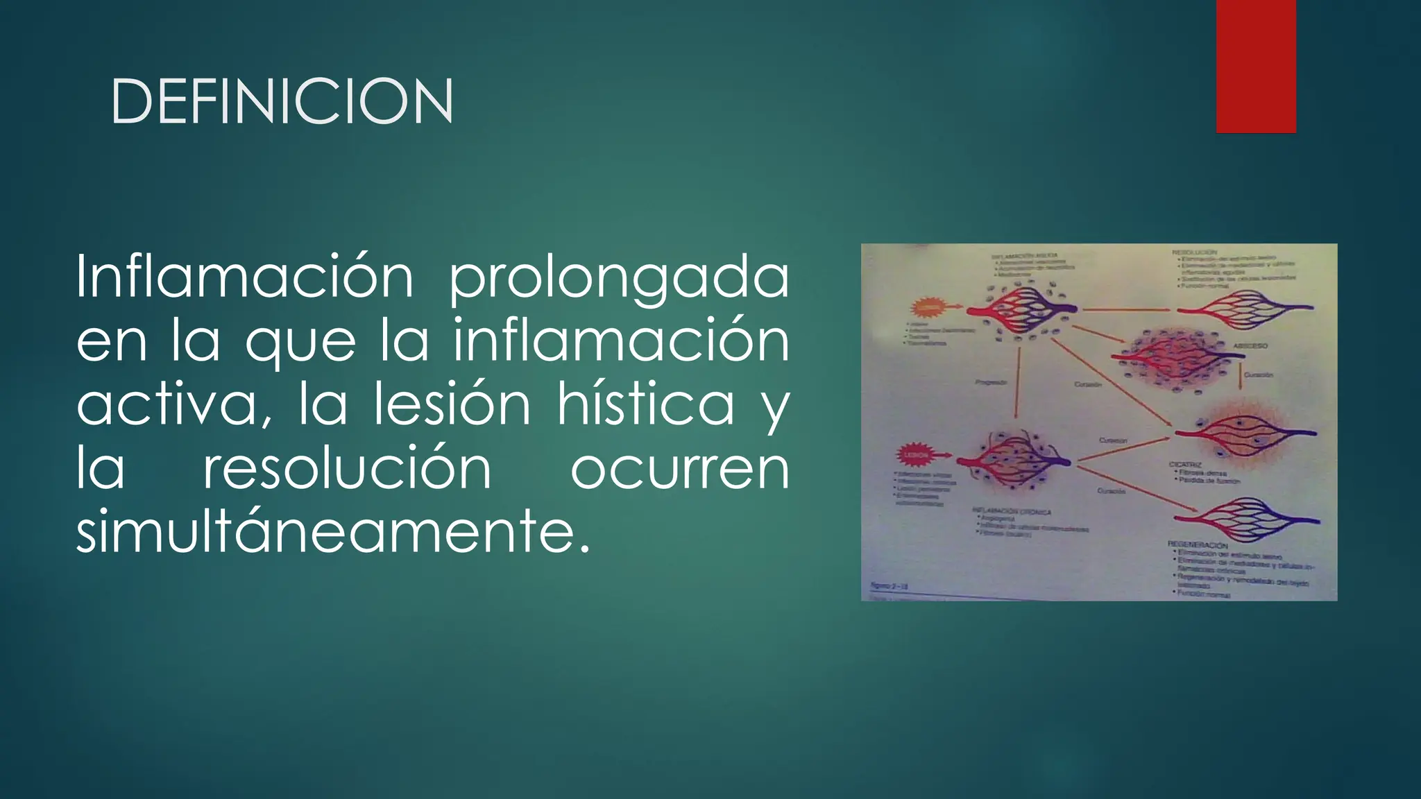 TIPOS DE INFLAMACIÓN - INFLAMACION CRONICA.ppt