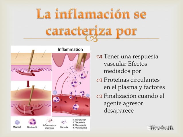 Inflamacion- Patologia Basica | PPTX