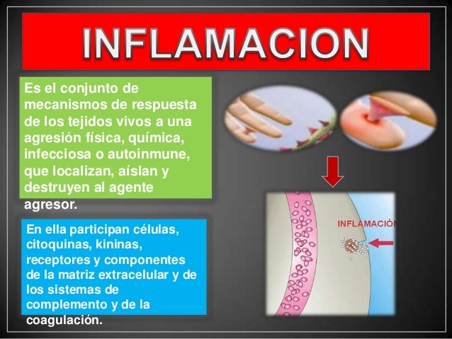 Pasos En El Proceso De La Inflamacin Inmunologia