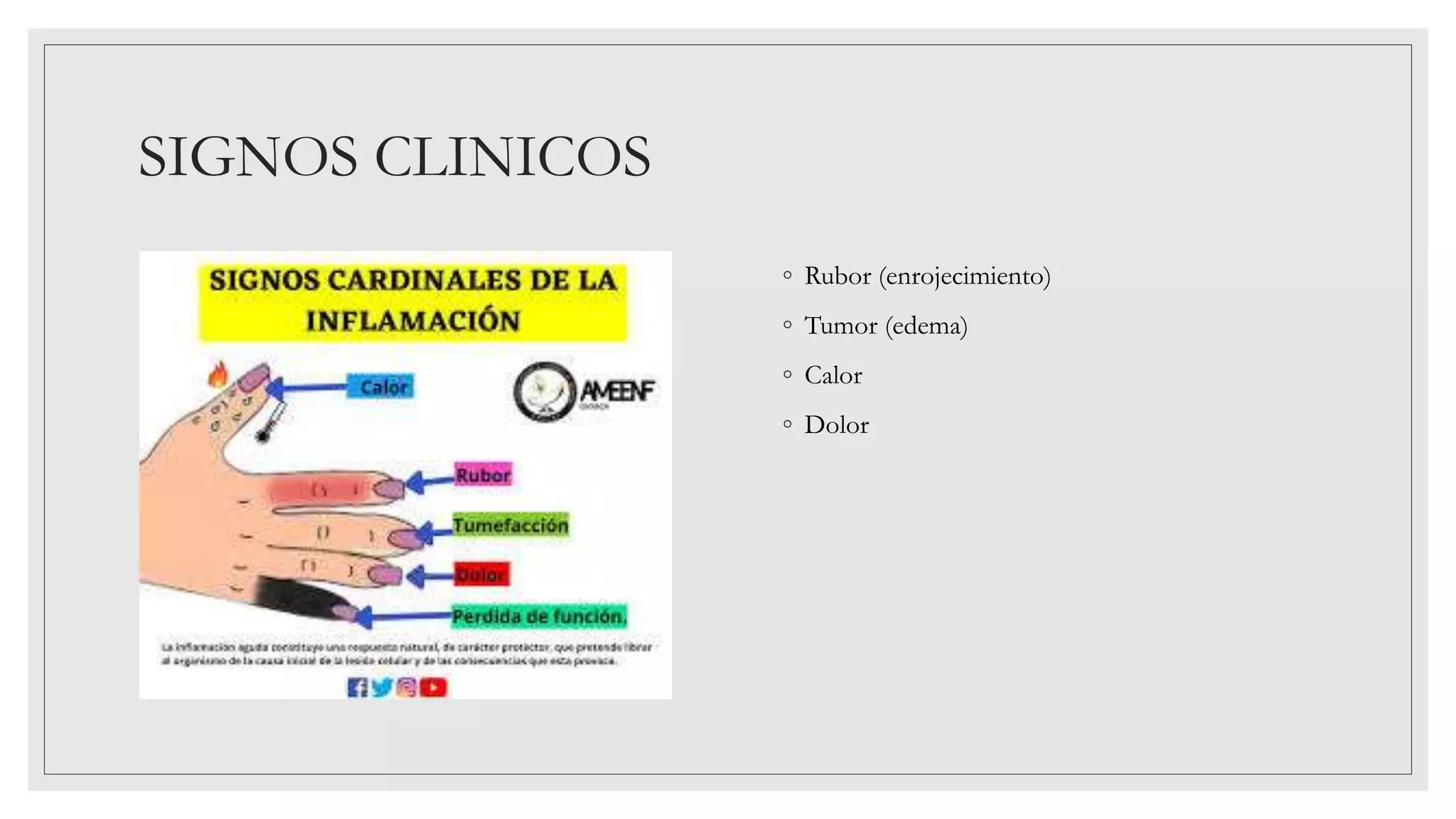 INFLAMACION | PPT