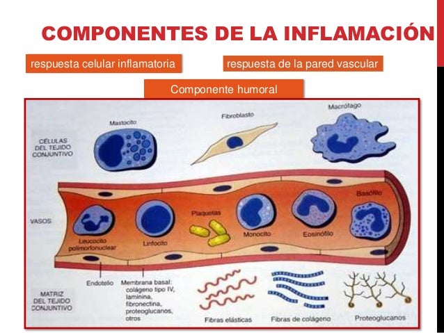 Inflamacion odontologia