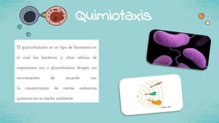 INFLAMACION Y BIOQUIMICA.pptx
