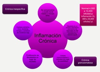 INFLAMACION Y CICATRIZACION.pptx