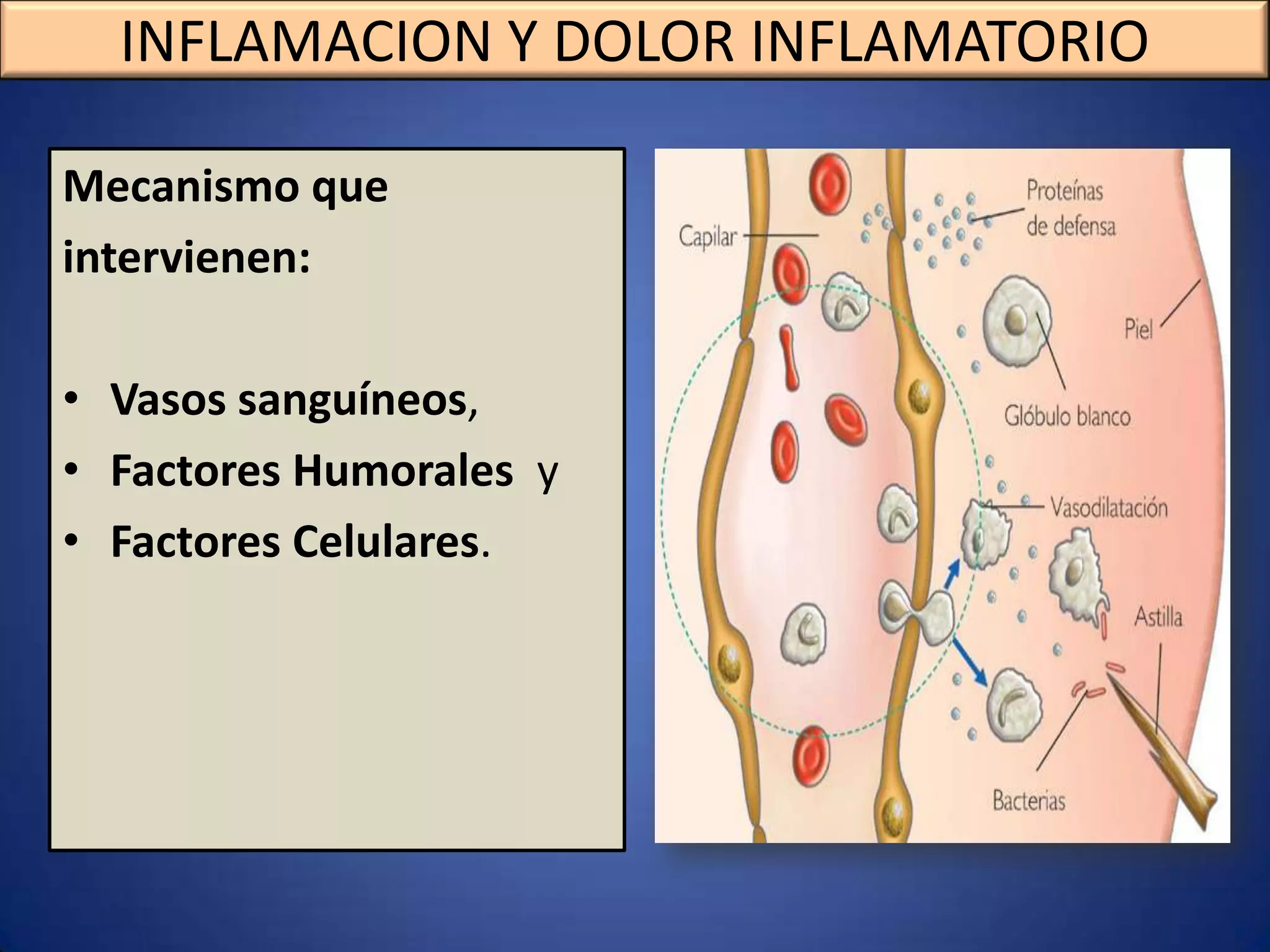Inflamacion y dolor | PPTX
