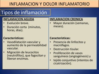 Inflamacion y dolor | PPTX