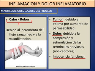 Inflamacion y dolor | PPTX