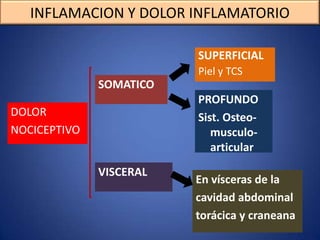 Inflamacion y dolor | PPTX