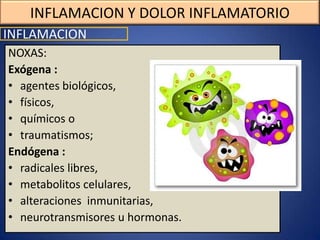 Inflamacion y dolor | PPTX