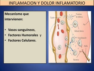 Inflamacion y dolor | PPTX