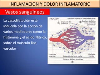 Inflamacion y dolor | PPTX