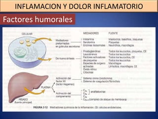 Inflamacion y dolor | PPTX