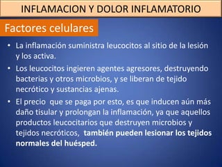 Inflamacion y dolor | PPTX