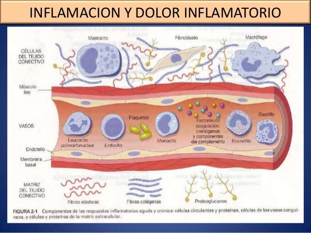 LA INFLAMACIÓN