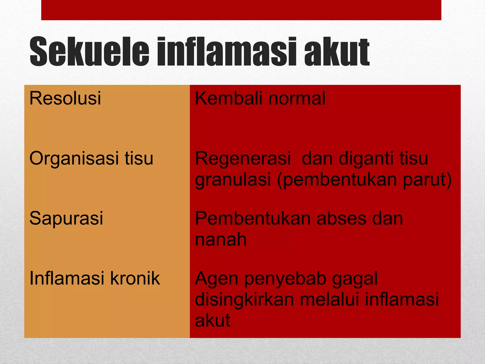 INFLAMASI | PPT