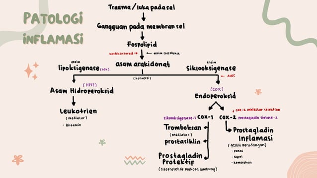 Ppt Inflamasi, mekanisme, obat, penyebab, pdf | PDF
