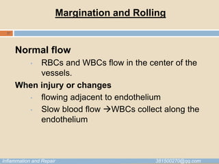 Inflamation-Pathology lecture notes | PPTX