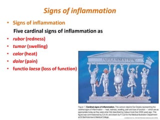 inflamation and repair-1.pptx