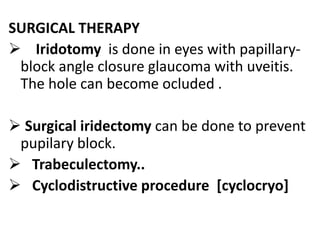 Inflamatory glaucoma | PPTX