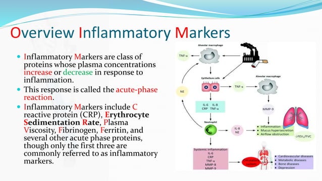 Inflamatory Markers CRP & ESR. Medical .pptx | Blood Disorders ...