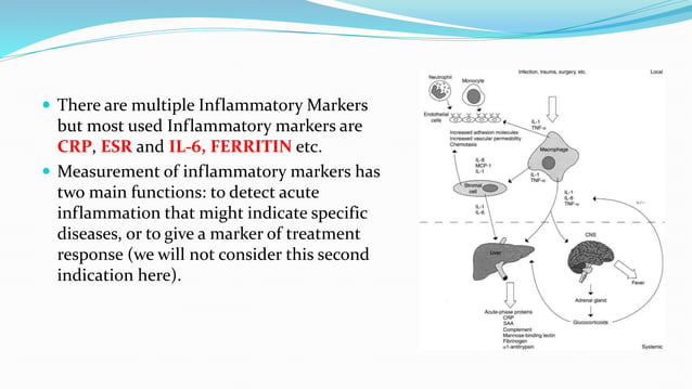 Inflamatory Markers CRP & ESR. Medical .pptx | Blood Disorders ...