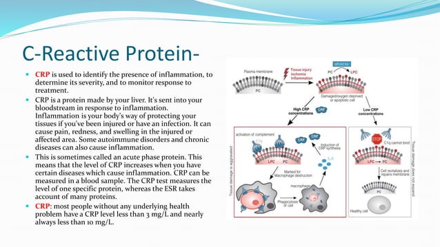 Inflamatory Markers CRP & ESR. Medical .pptx | Blood Disorders | Diseases and Conditions