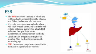Inflamatory Markers CRP & ESR. Medical .pptx