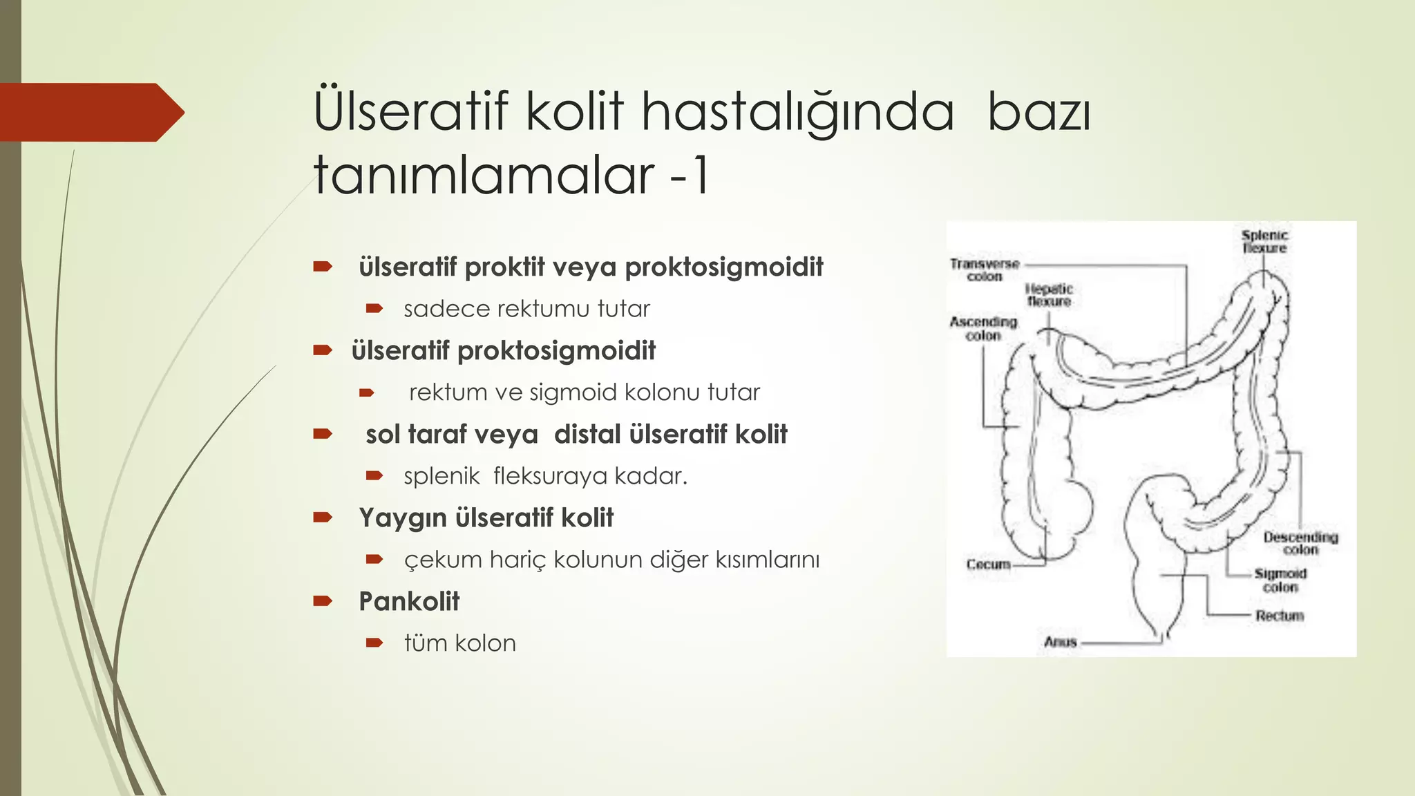 Inflamatuar barsak hastalıklarında tedavi hastalara yönelik | PPTX
