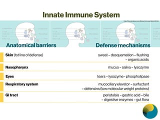 Immune system | PDF