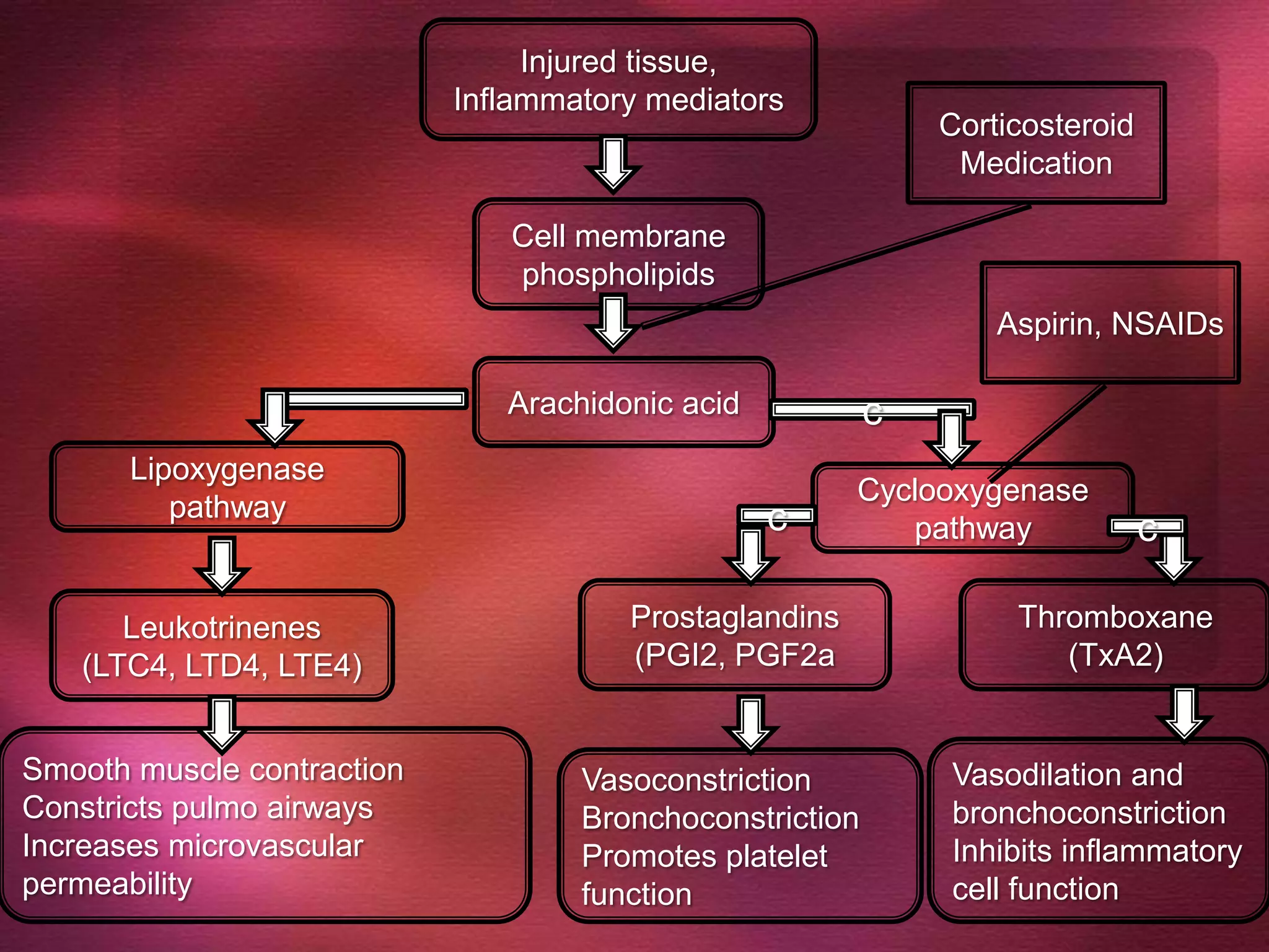 Inflammation, Tissue repair and fever | PPT