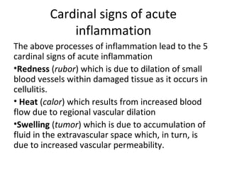 Inflammation | PPT