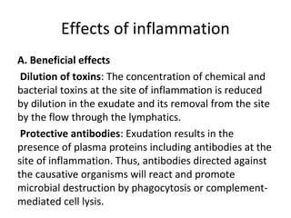 Inflammation | PPT