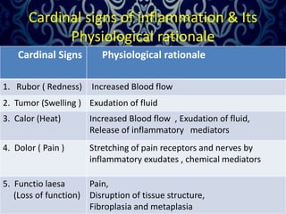 Inflammation by Dr. Amit Suryawanshi .Oral & Maxillofacial Surgeon ...
