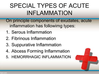 Inflammation | PPTX