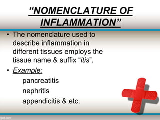 Inflammation | PPTX
