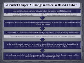 Inflammation: Introduction | PPTX