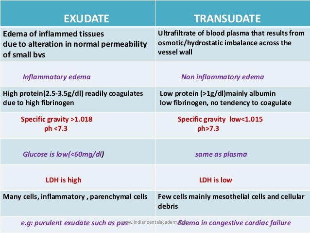 Inflammation / dental courses