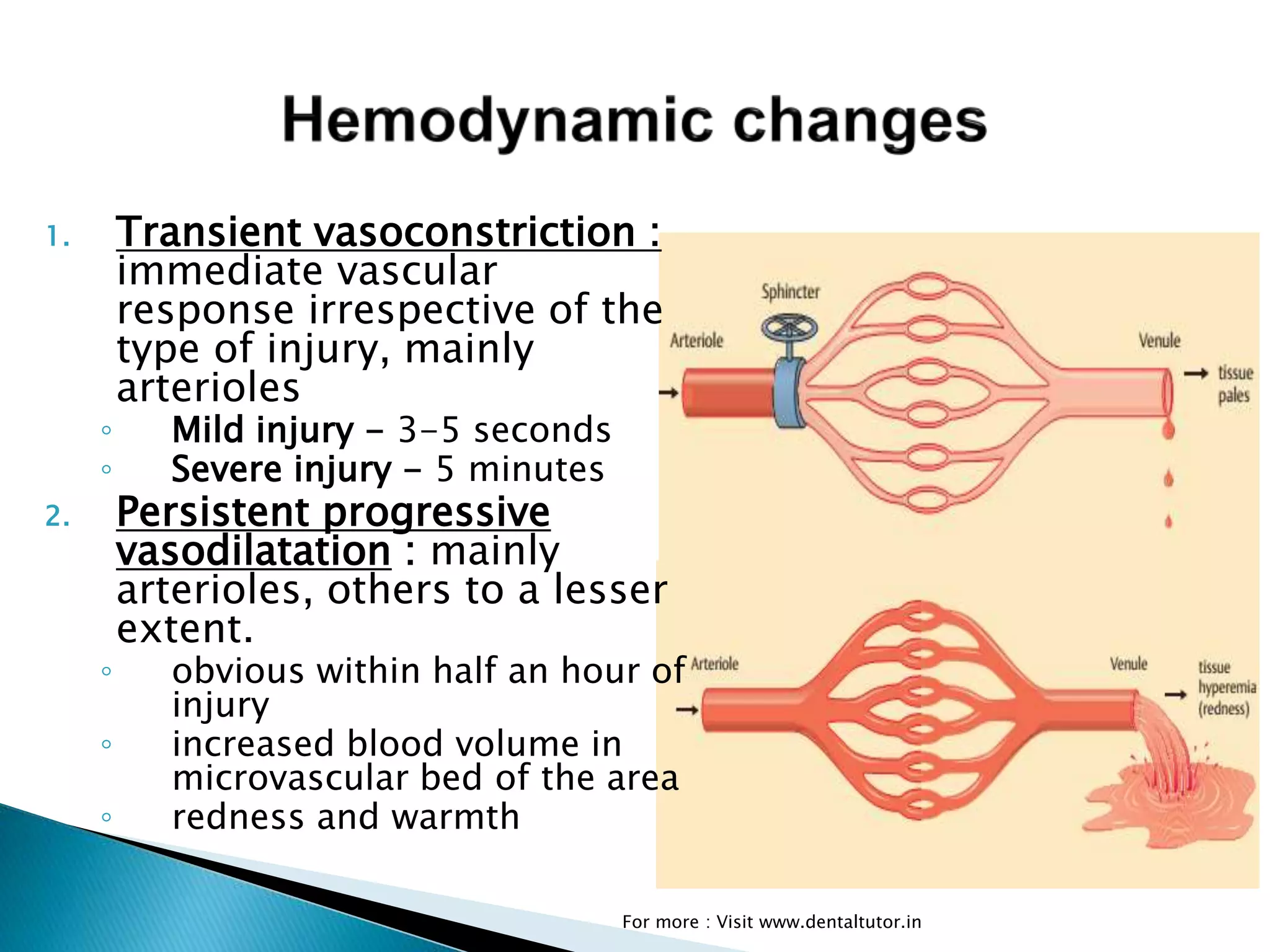 Inflammation | PPTX
