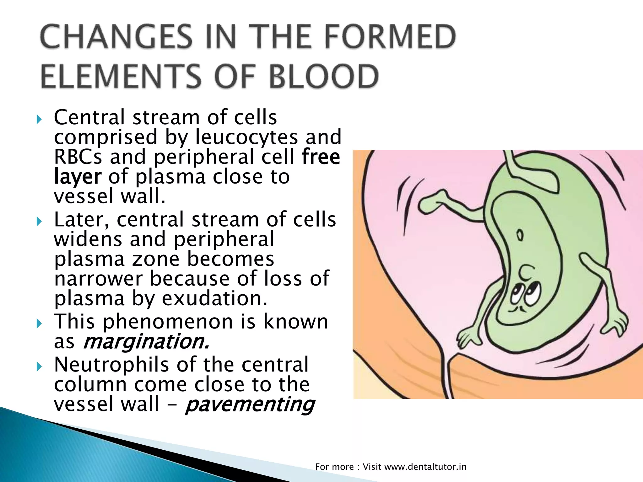 Inflammation | PPTX