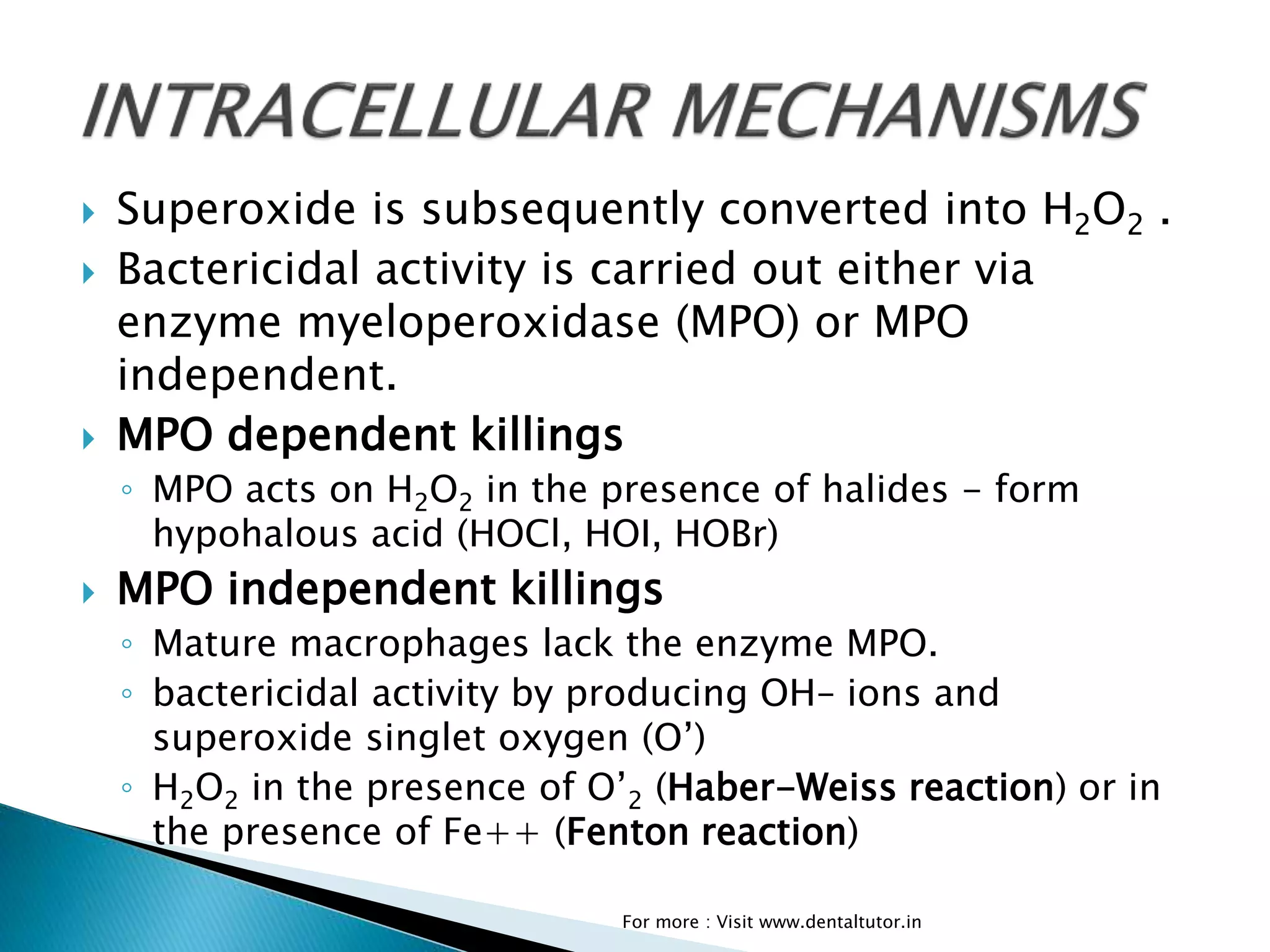 Inflammation | PPTX