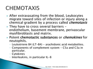 Inflammation | PPTX