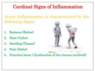 Inflammation | PPT