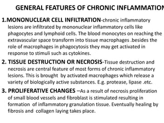 inflammation-180121165658.pdf